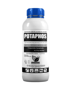 POTAPHOS - Anproex